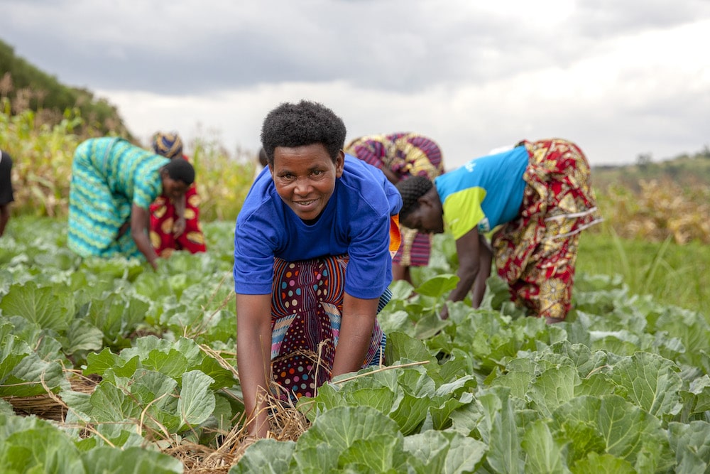 Investment – Rusizi